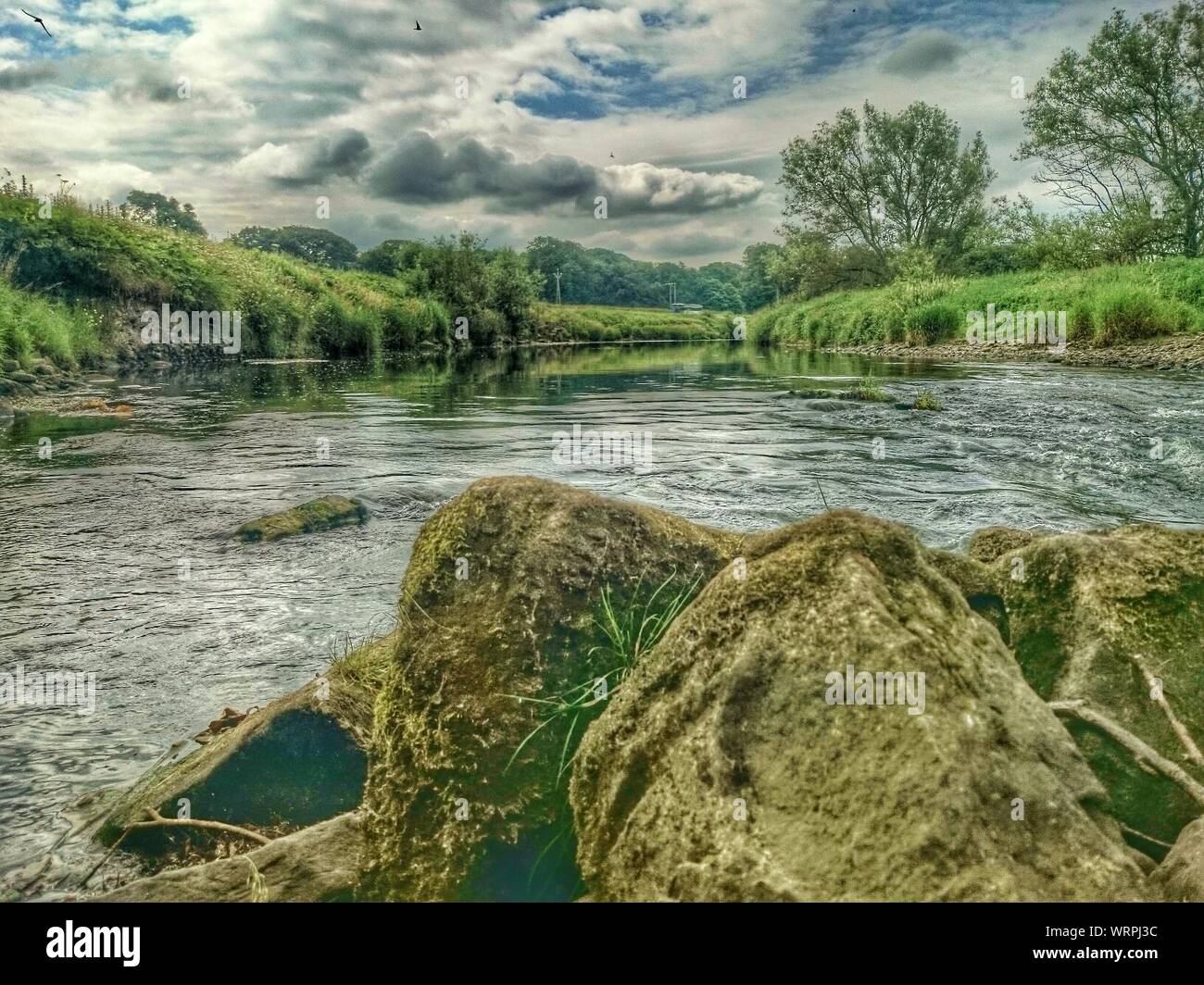 Pond stream boulders hi-res stock photography and images - Alamy