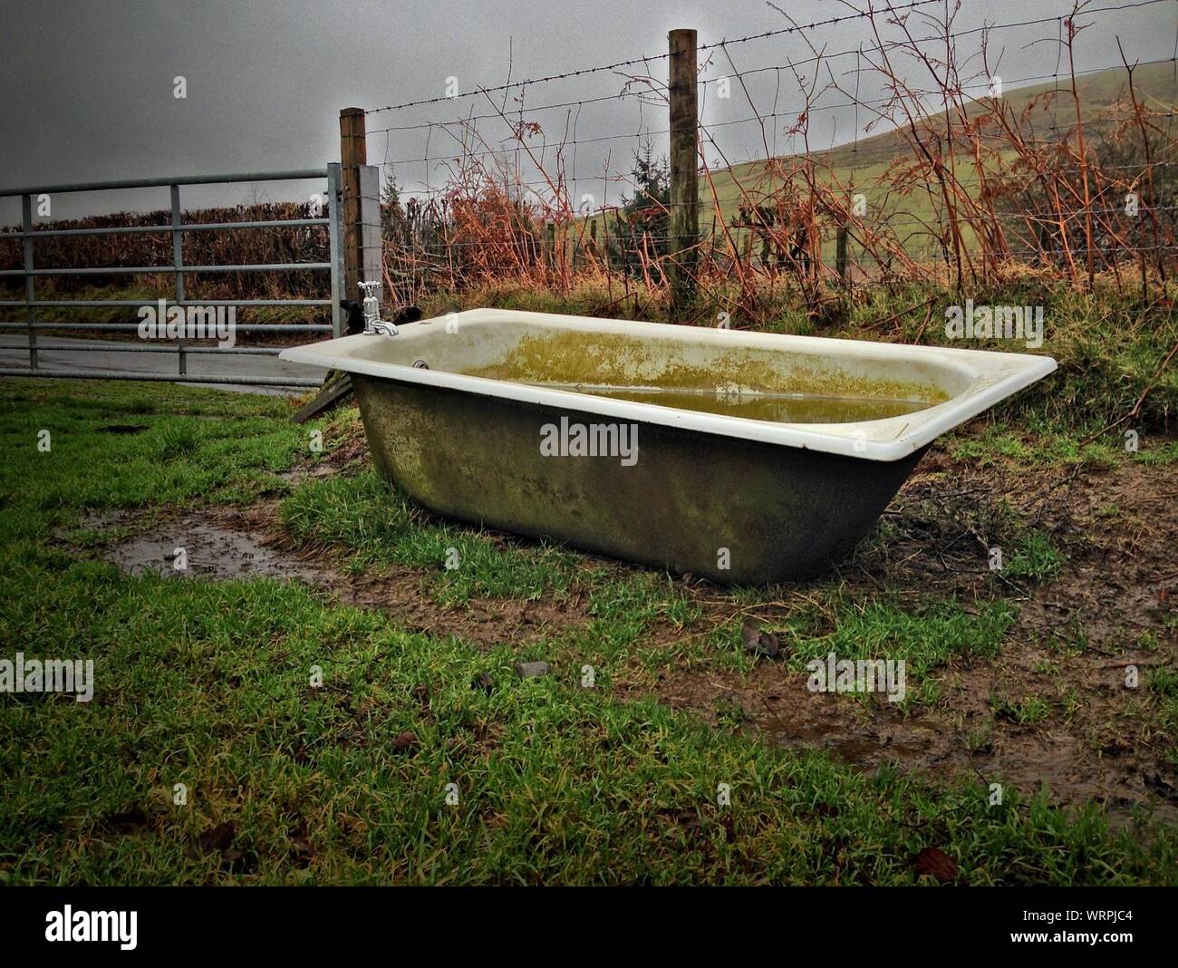 Farm Water Trough High Resolution Stock Photography and Images - Alamy