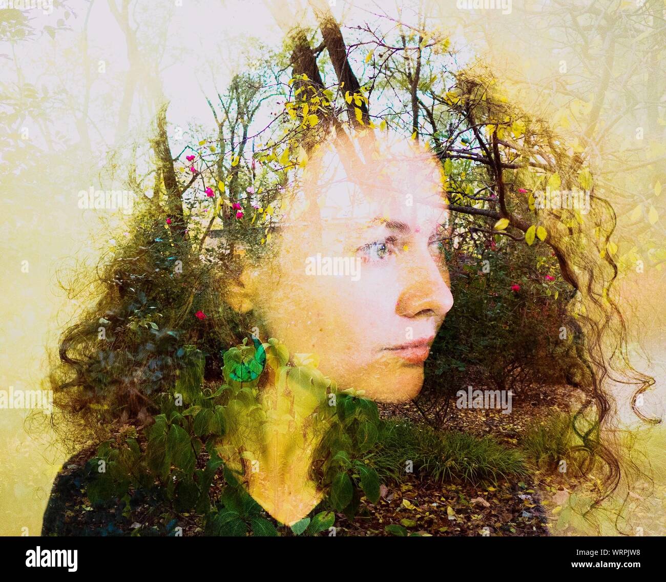Double Exposure Woman Tree High Resolution Stock Photography and Images ...