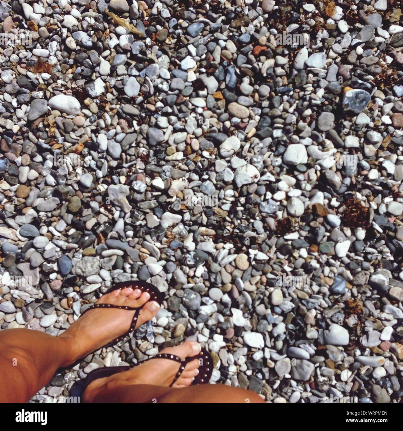 Slipper stones hi-res stock photography and images - Alamy