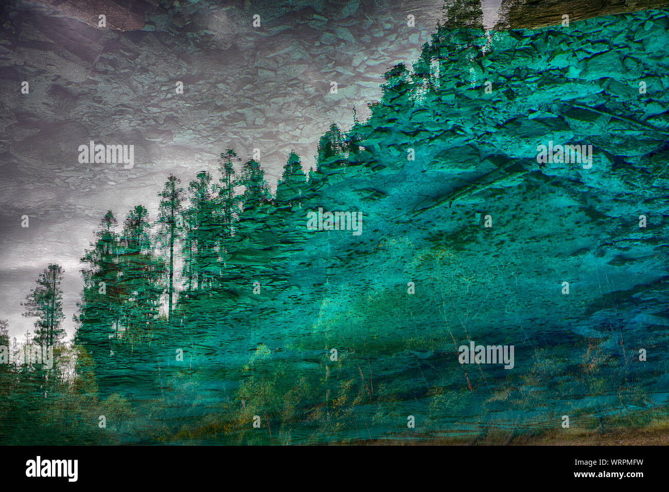 At tree cave hi-res stock photography and images - Alamy