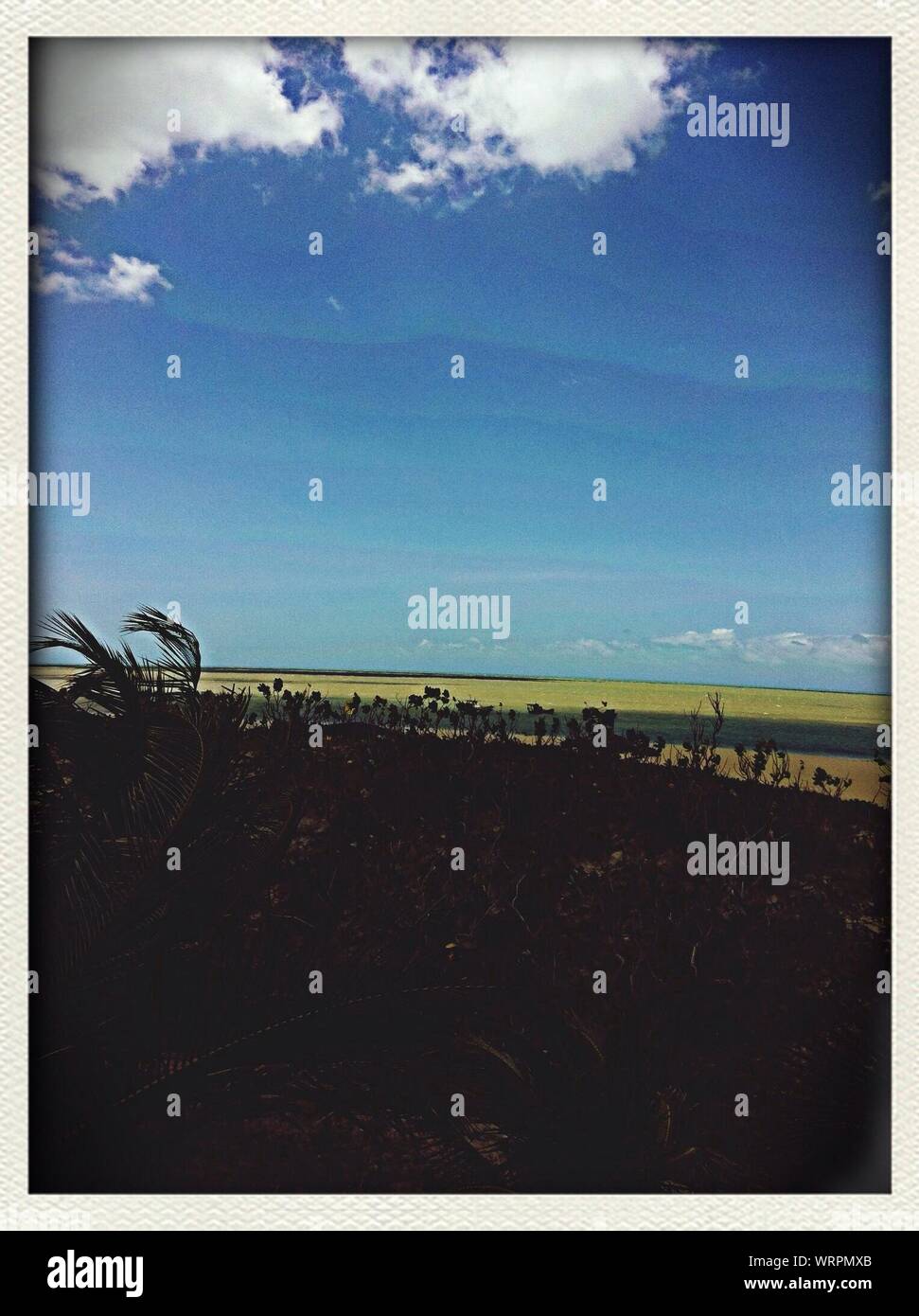 Empty green field hi-res stock photography and images - Alamy