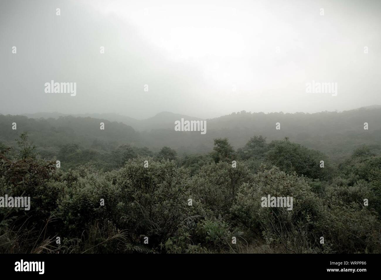 Shrouded in mist hi-res stock photography and images - Alamy