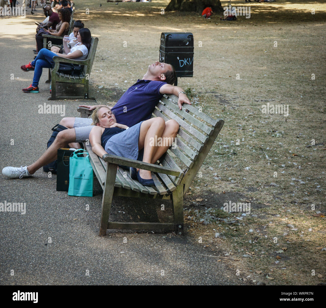 Napping spot hi-res stock photography and images - Alamy