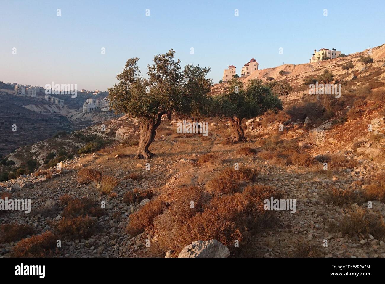 Palestine landscape hi-res stock photography and images - Alamy