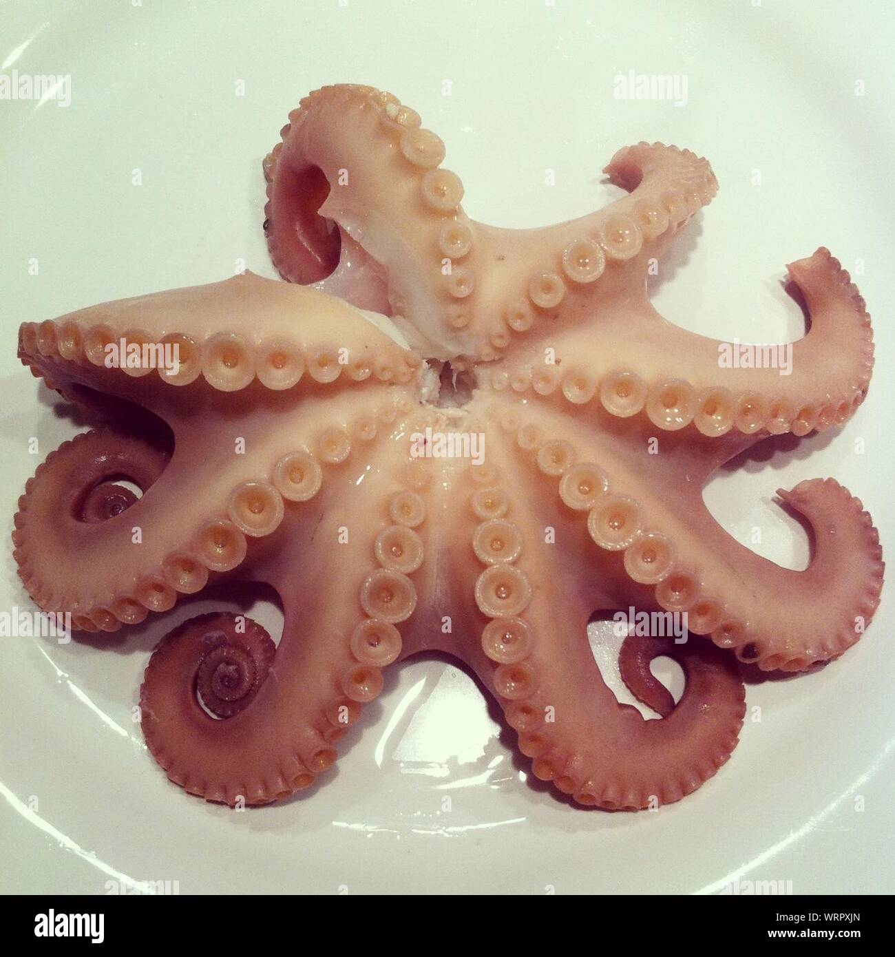 Octopus on plate hi-res stock photography and images - Alamy