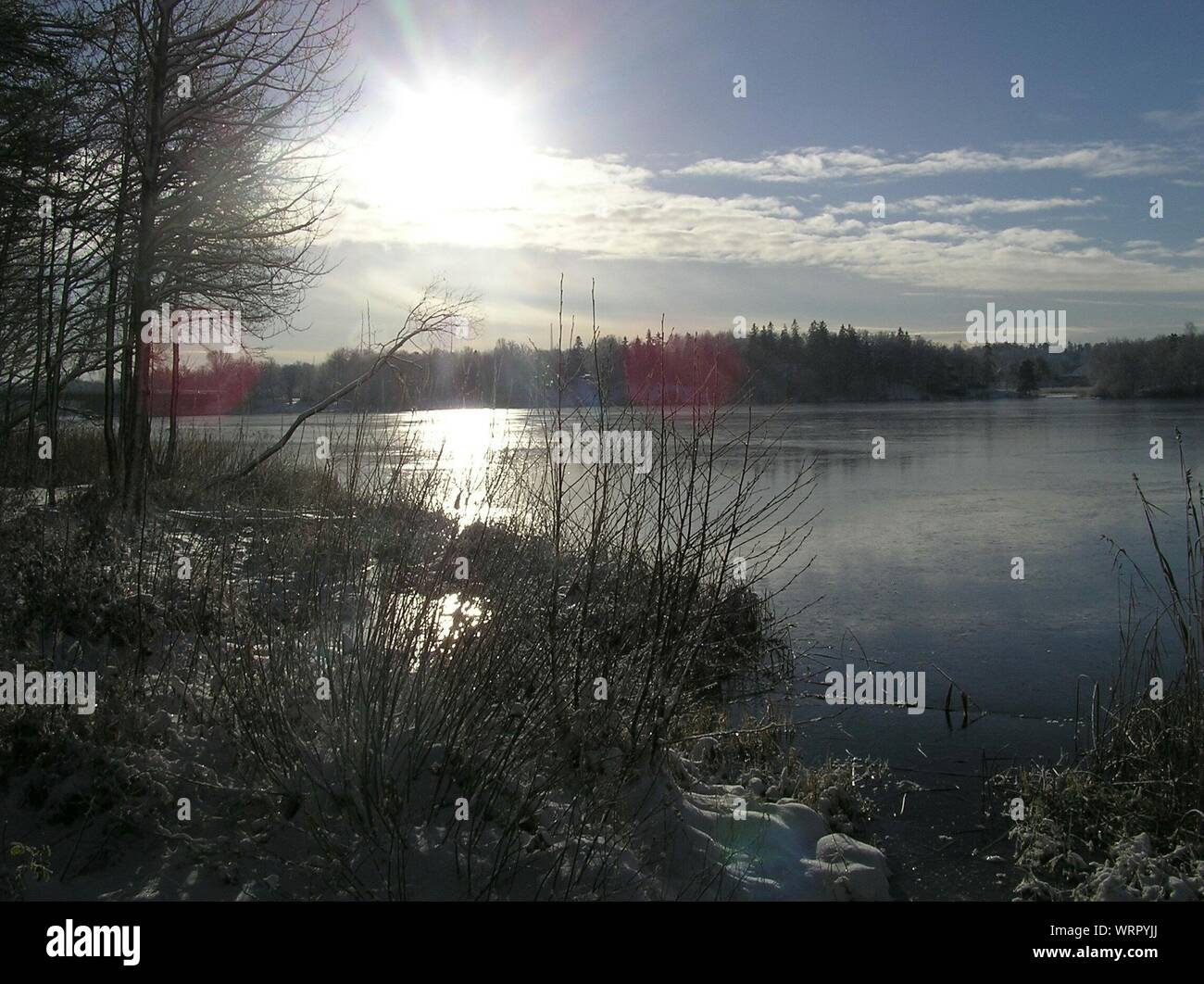 Tranquil scene plant hi-res stock photography and images - Alamy