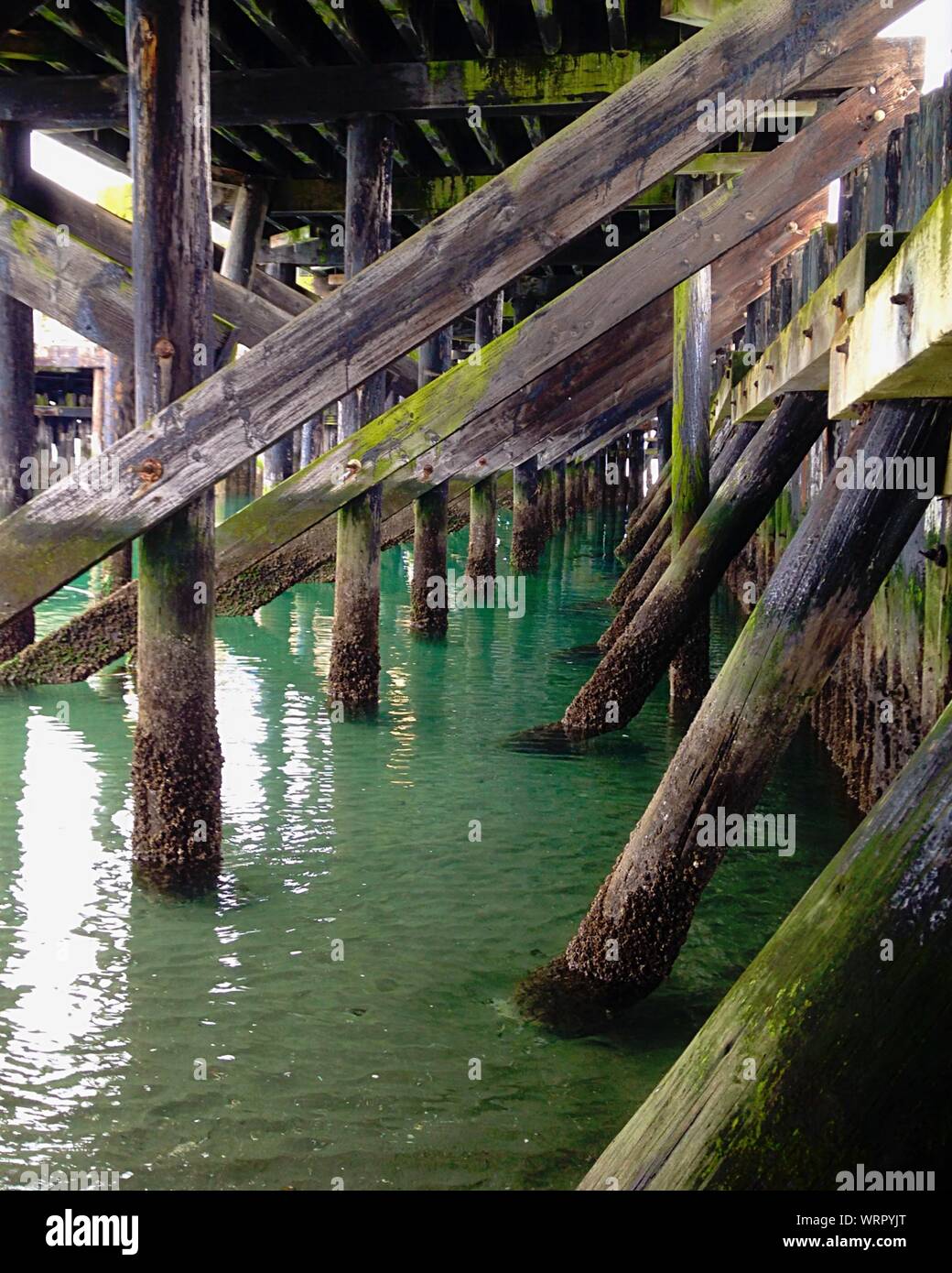 Wood under water hi-res stock photography and images - Alamy