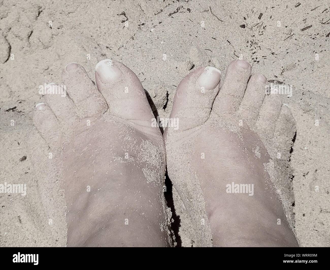 Sandy legs hi-res stock photography and images - Alamy