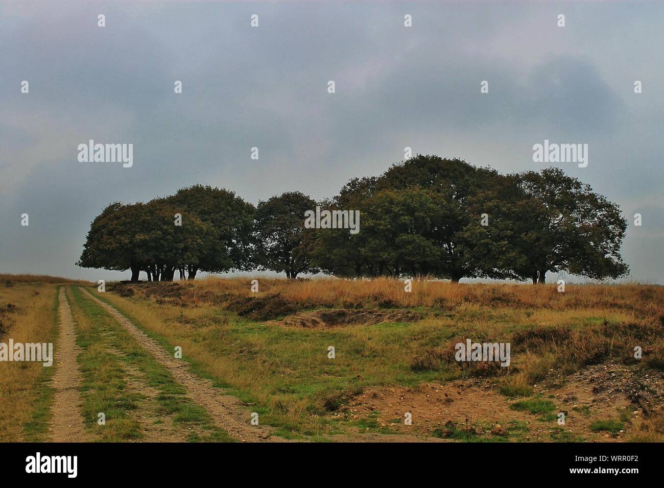 Non urban scene hi-res stock photography and images - Alamy