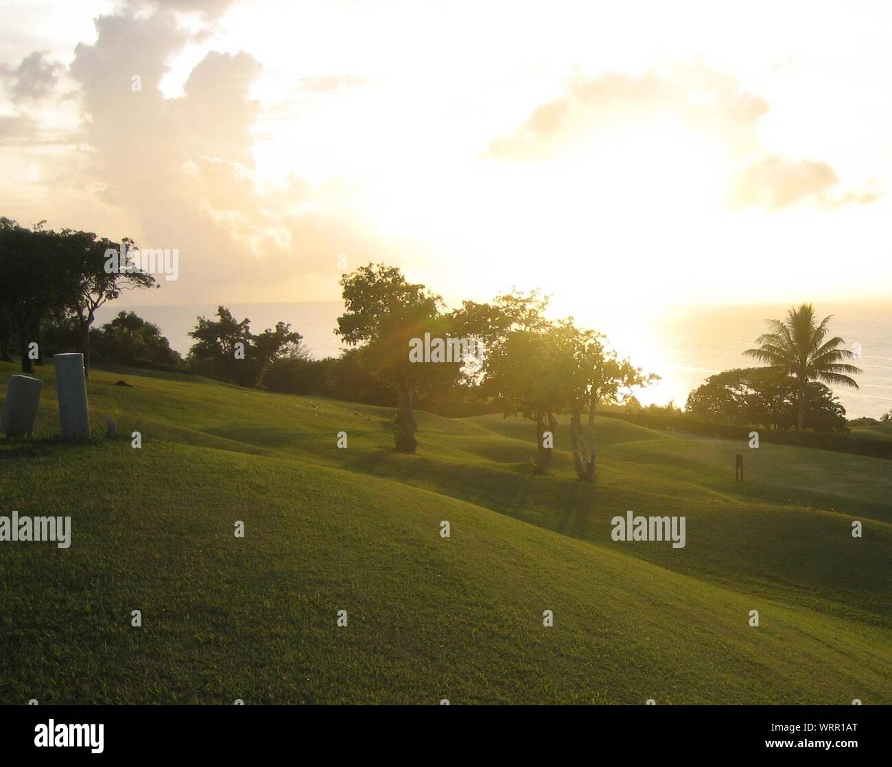 Bumpy grass hi-res stock photography and images - Alamy