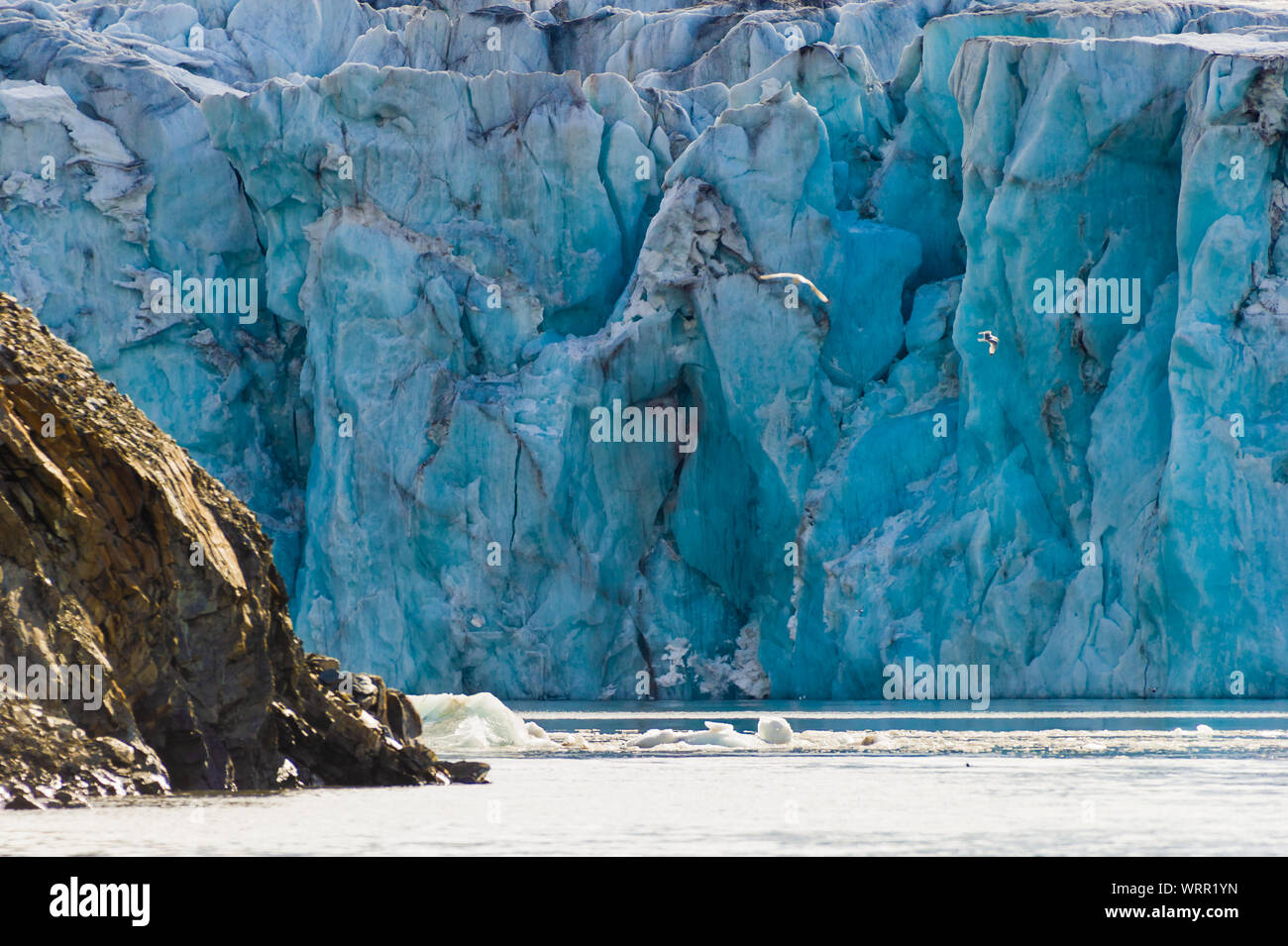 The end of a glacier in the Arctic Circle where it falls into the ...