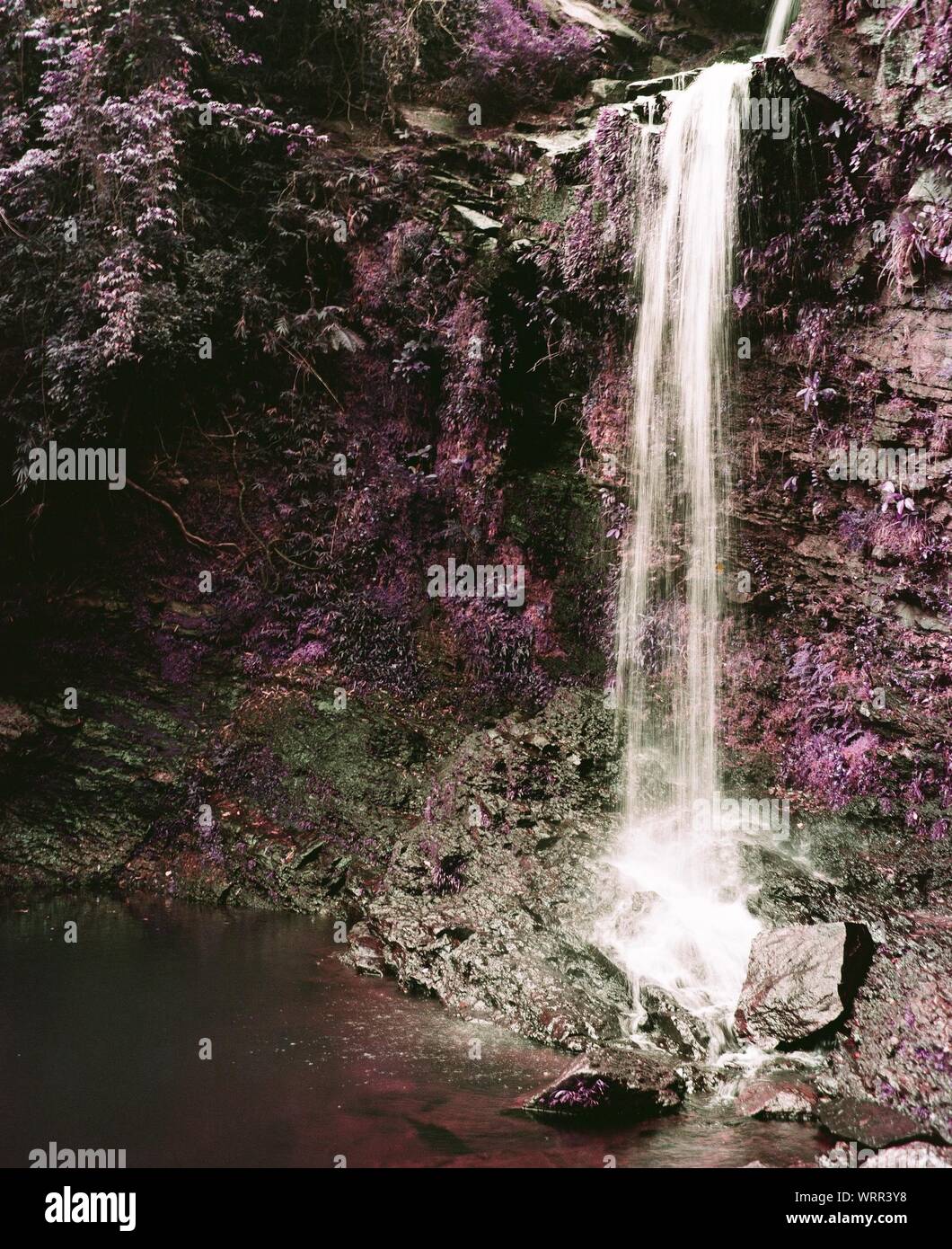 Waterfall of the bride hi-res stock photography and images - Alamy