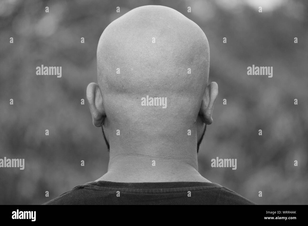 Bald Man Back Of Head High Resolution Stock Photography and Images - Alamy