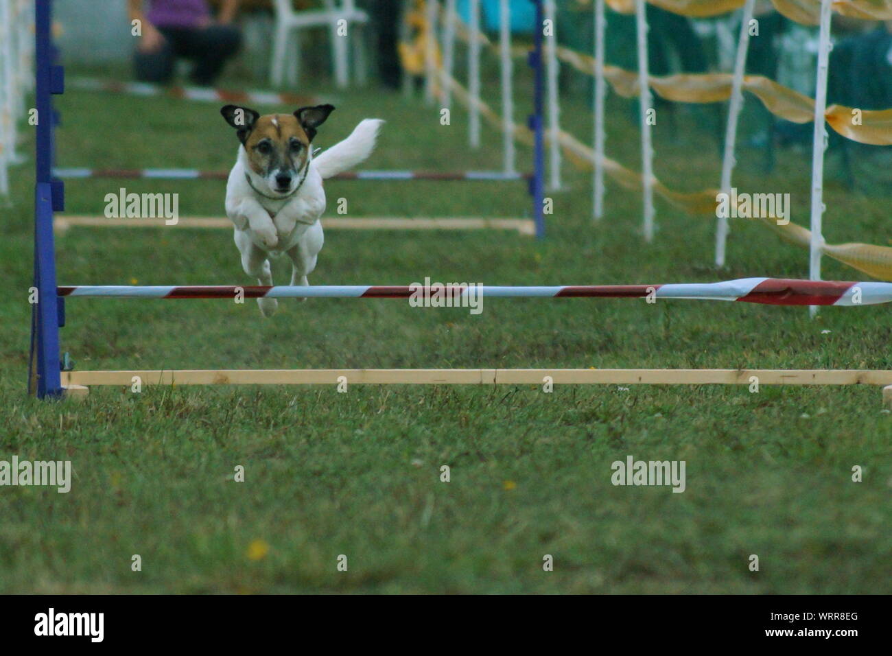 Obstacles must hi-res stock photography and images - Alamy