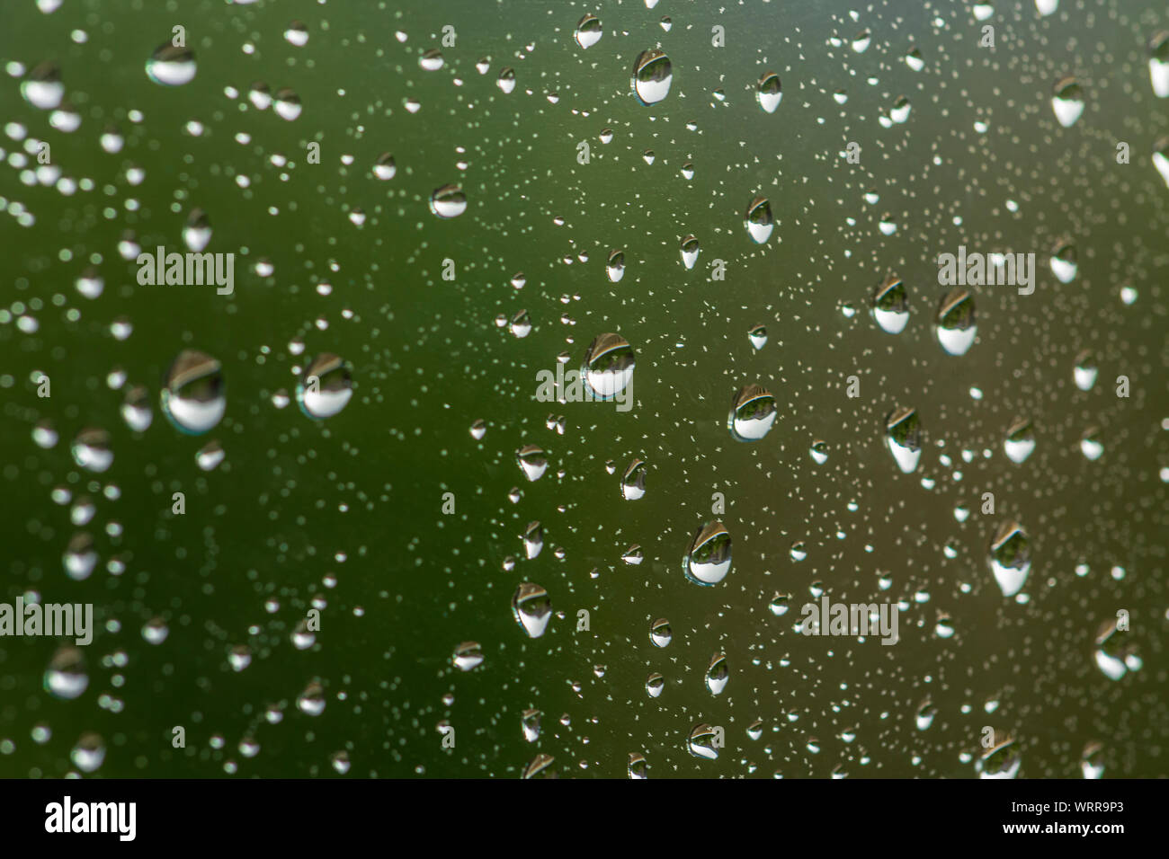 Translucent drops hi-res stock photography and images - Alamy