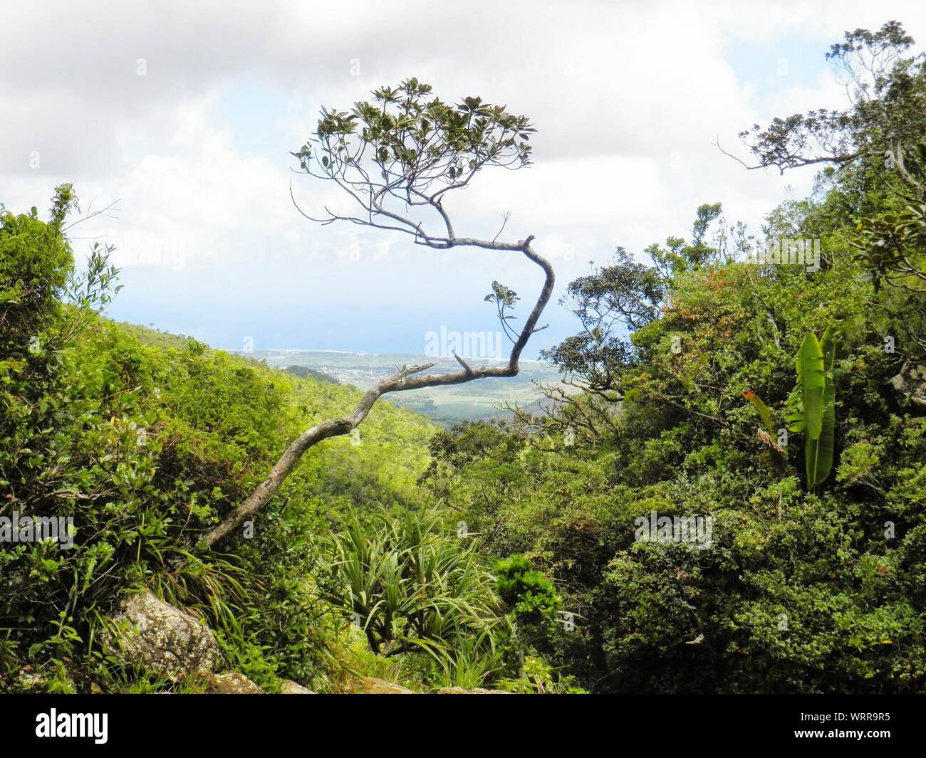 Slanted hi-res stock photography and images - Alamy