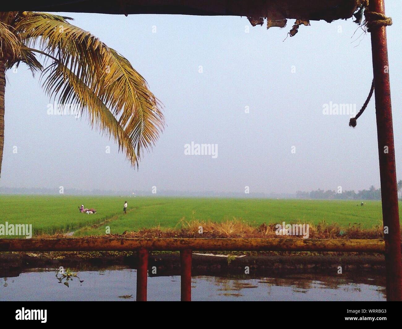 Field crop farm worker hi-res stock photography and images - Alamy