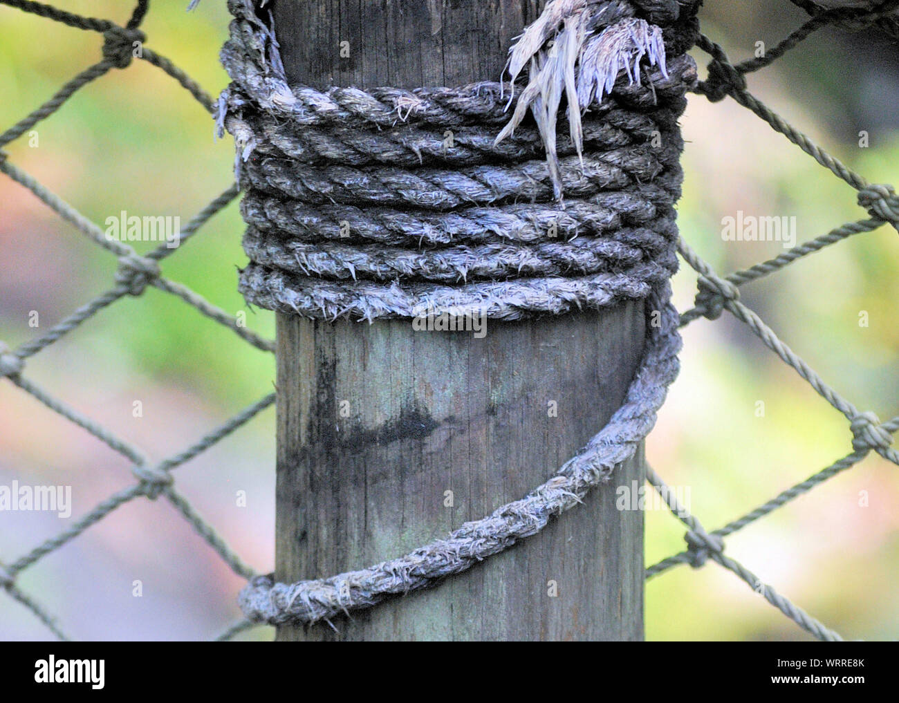 Rope and post barrier hi-res stock photography and images - Alamy