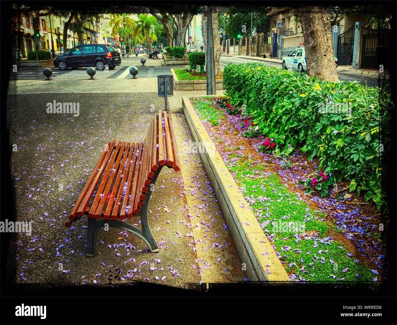 Wooden bench side road hi-res stock photography and images - Alamy