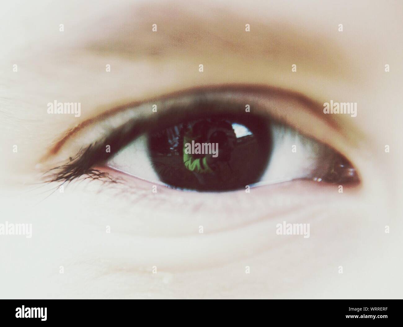 Reflection in the eye hi-res stock photography and images - Alamy