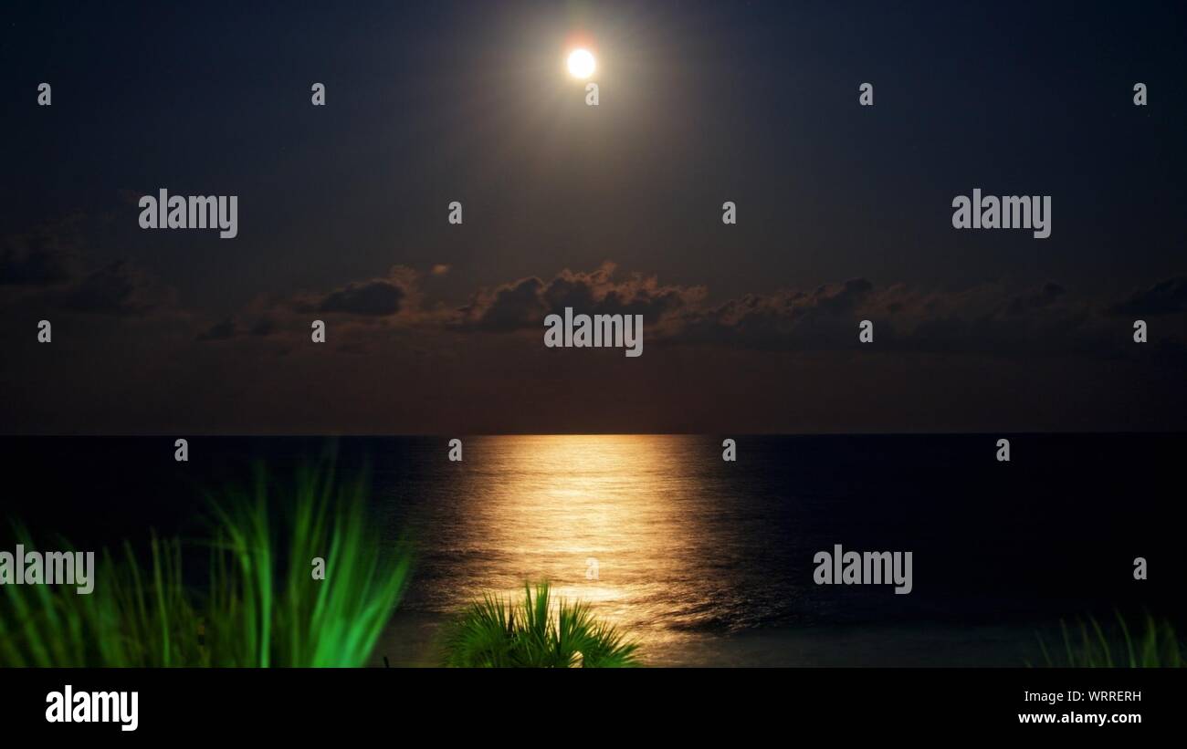 Moonlight beach hi-res stock photography and images - Alamy