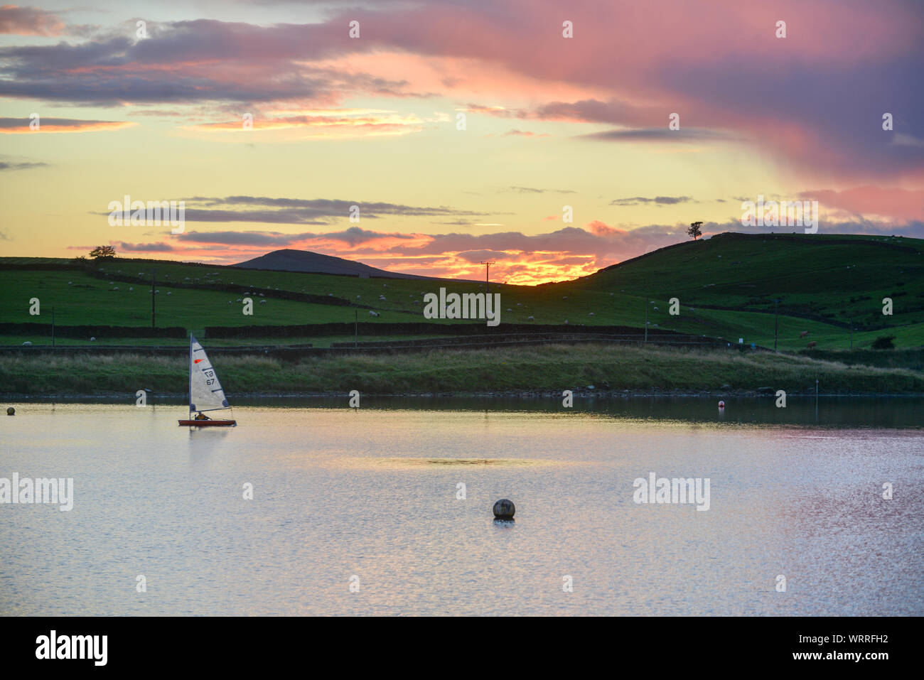 Sailing under a sunset (47 Stock Photo - Alamy