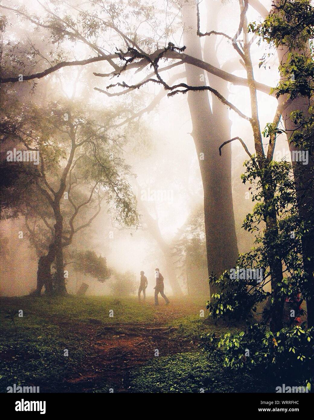 Nandi hills sunrise hi-res stock photography and images - Alamy