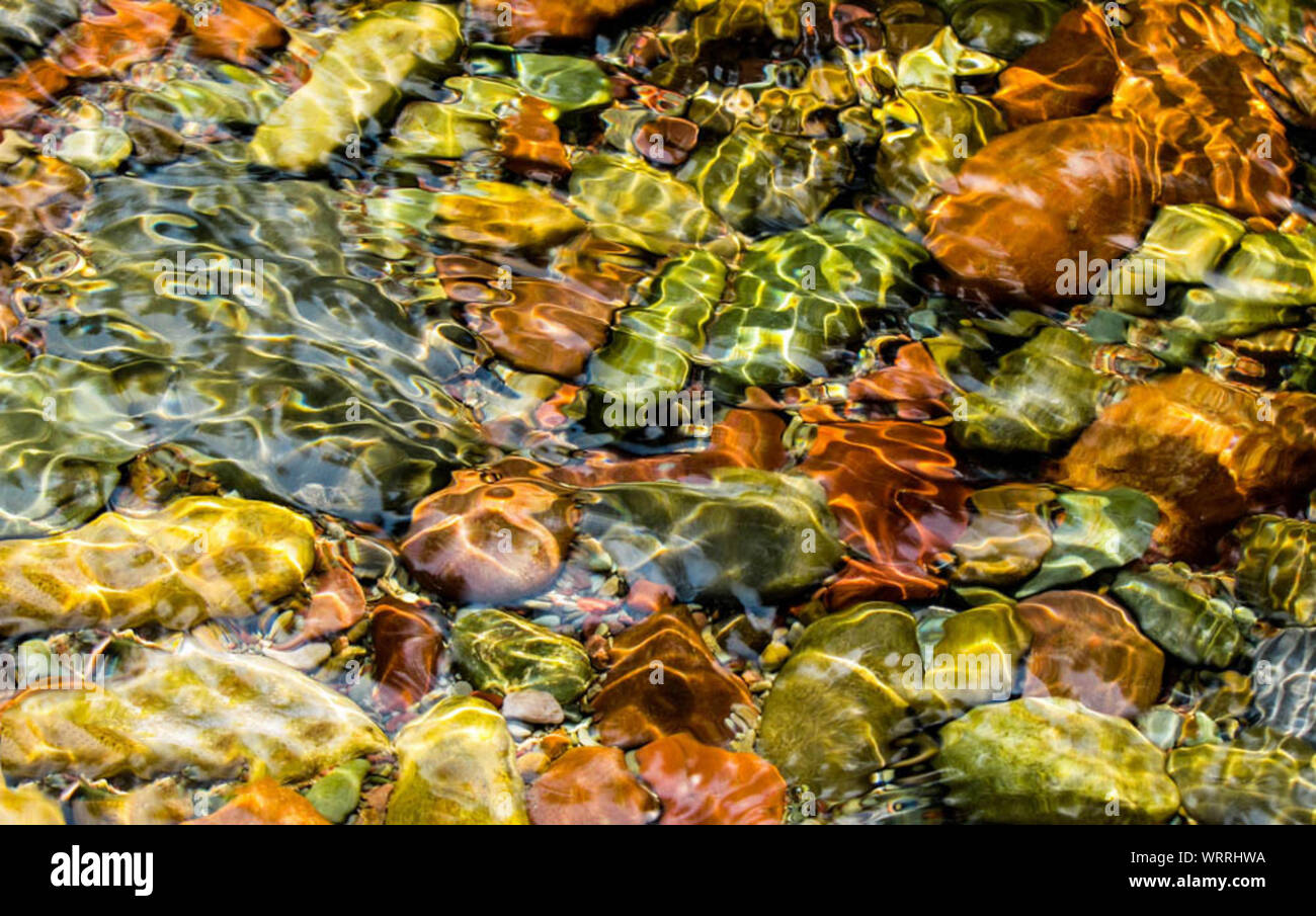 Heart’s ease hi-res stock photography and images - Alamy