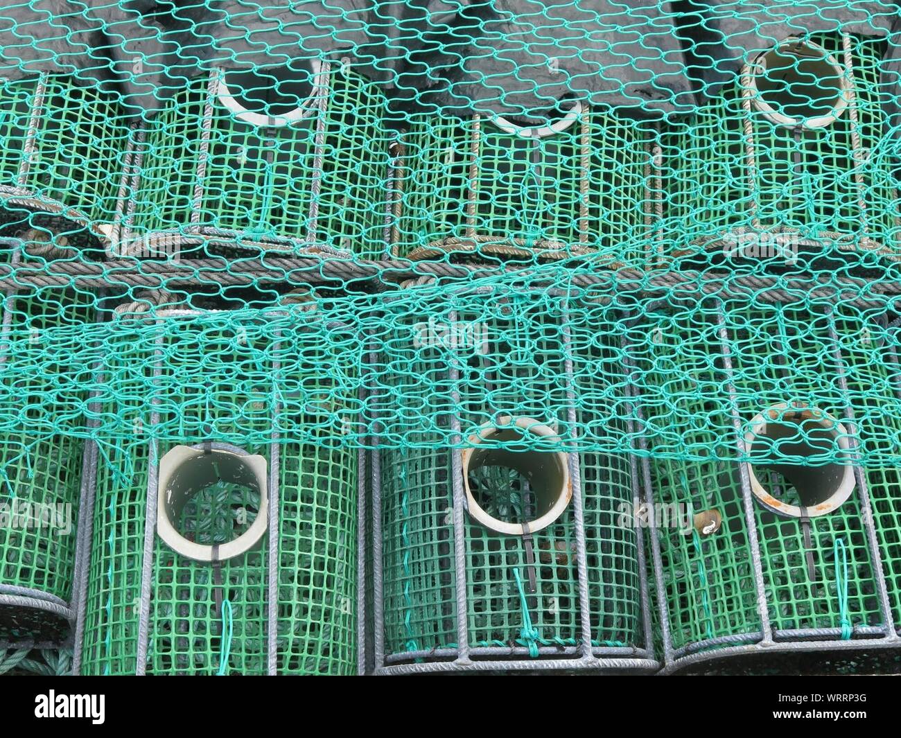 Green fishing hi-res stock photography and images - Alamy
