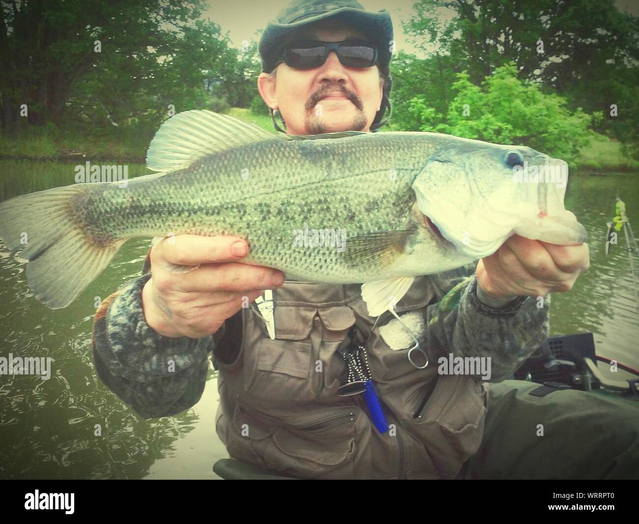 Person looking at lake fish hi-res stock photography and images - Alamy