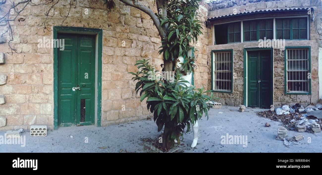 Tree at the house hi-res stock photography and images - Alamy