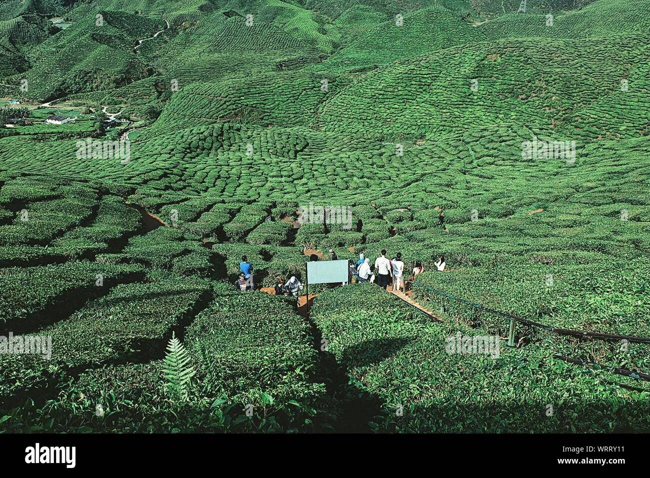 Cultivated people hi-res stock photography and images - Alamy