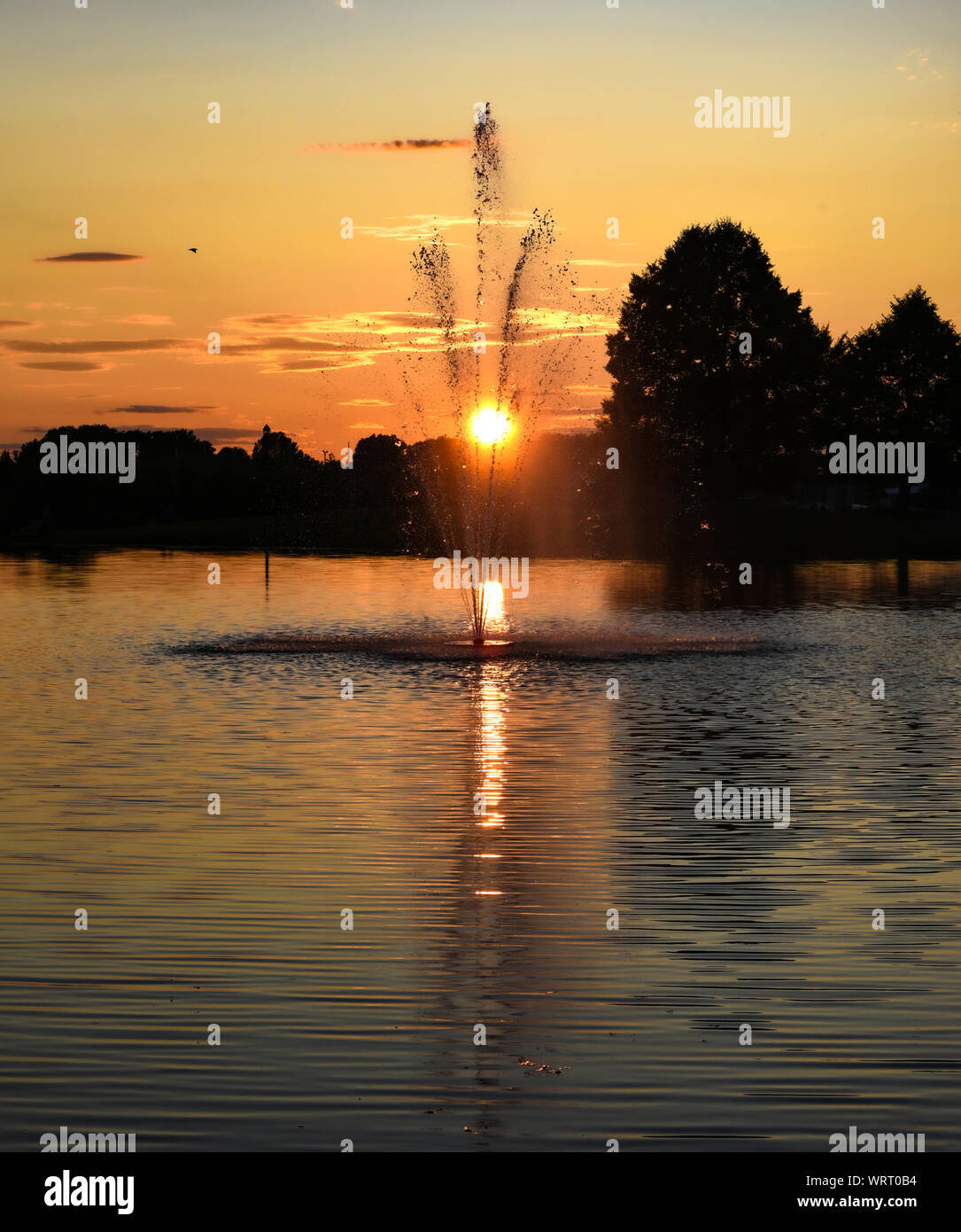 Andrew haydon park ottawa hi-res stock photography and images - Alamy