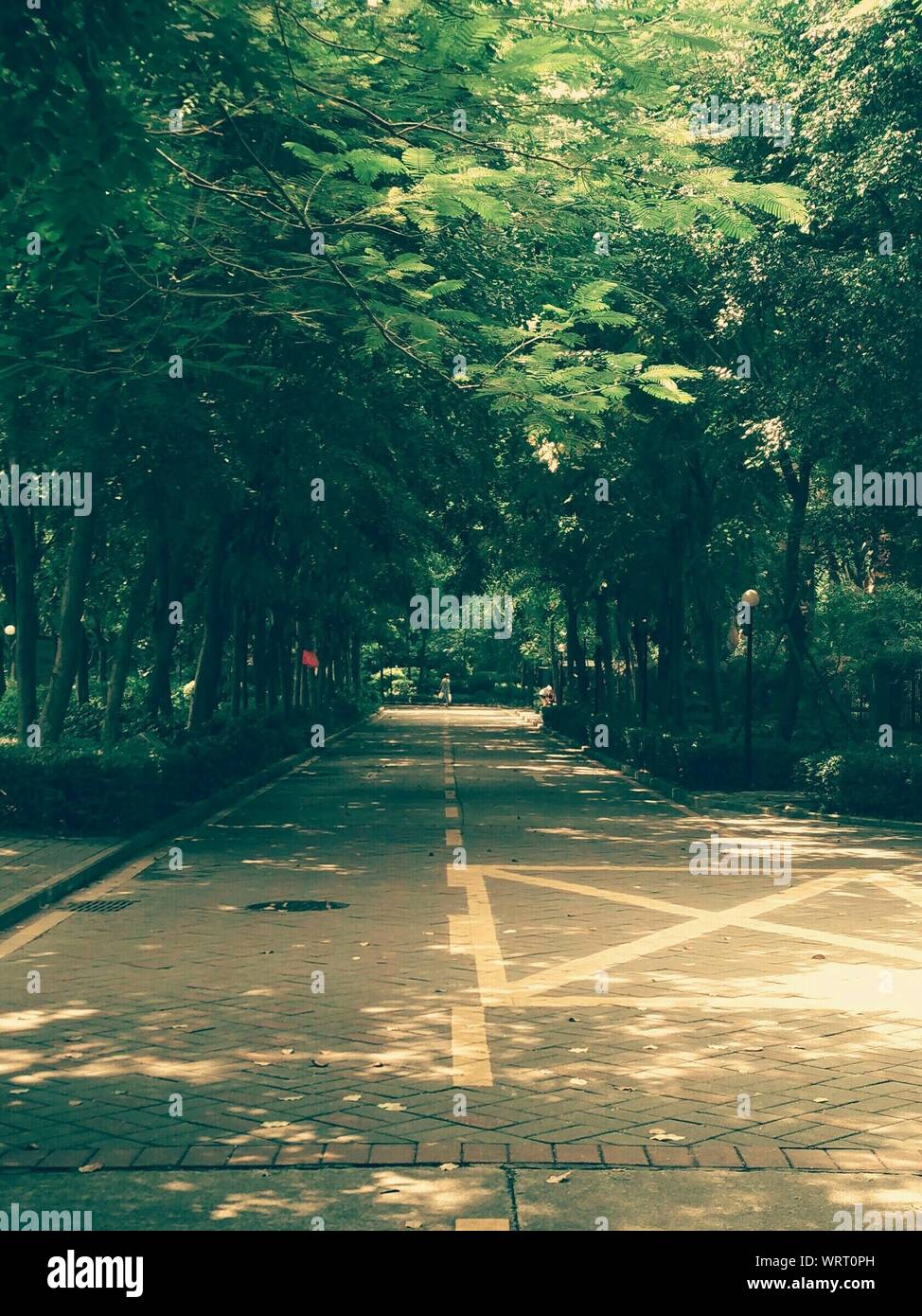 Canopy park hi-res stock photography and images - Alamy