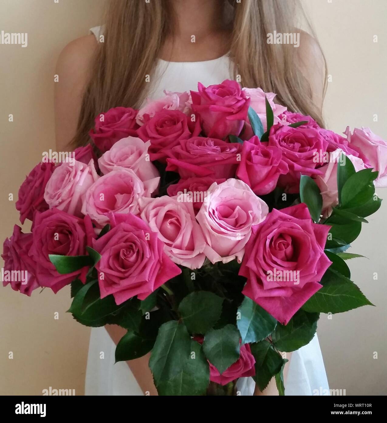 Holding pink rose hi-res stock photography and images - Alamy