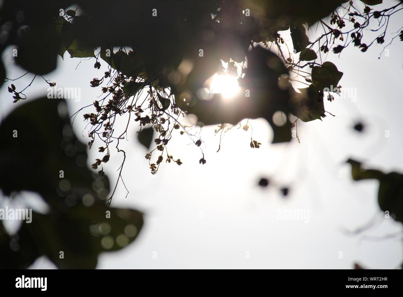 Sunlight breaking through hi-res stock photography and images - Alamy
