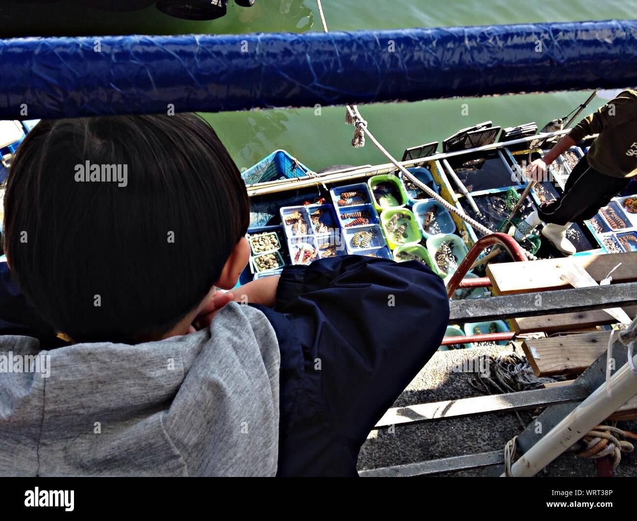 Boy rear view boat hi-res stock photography and images - Alamy