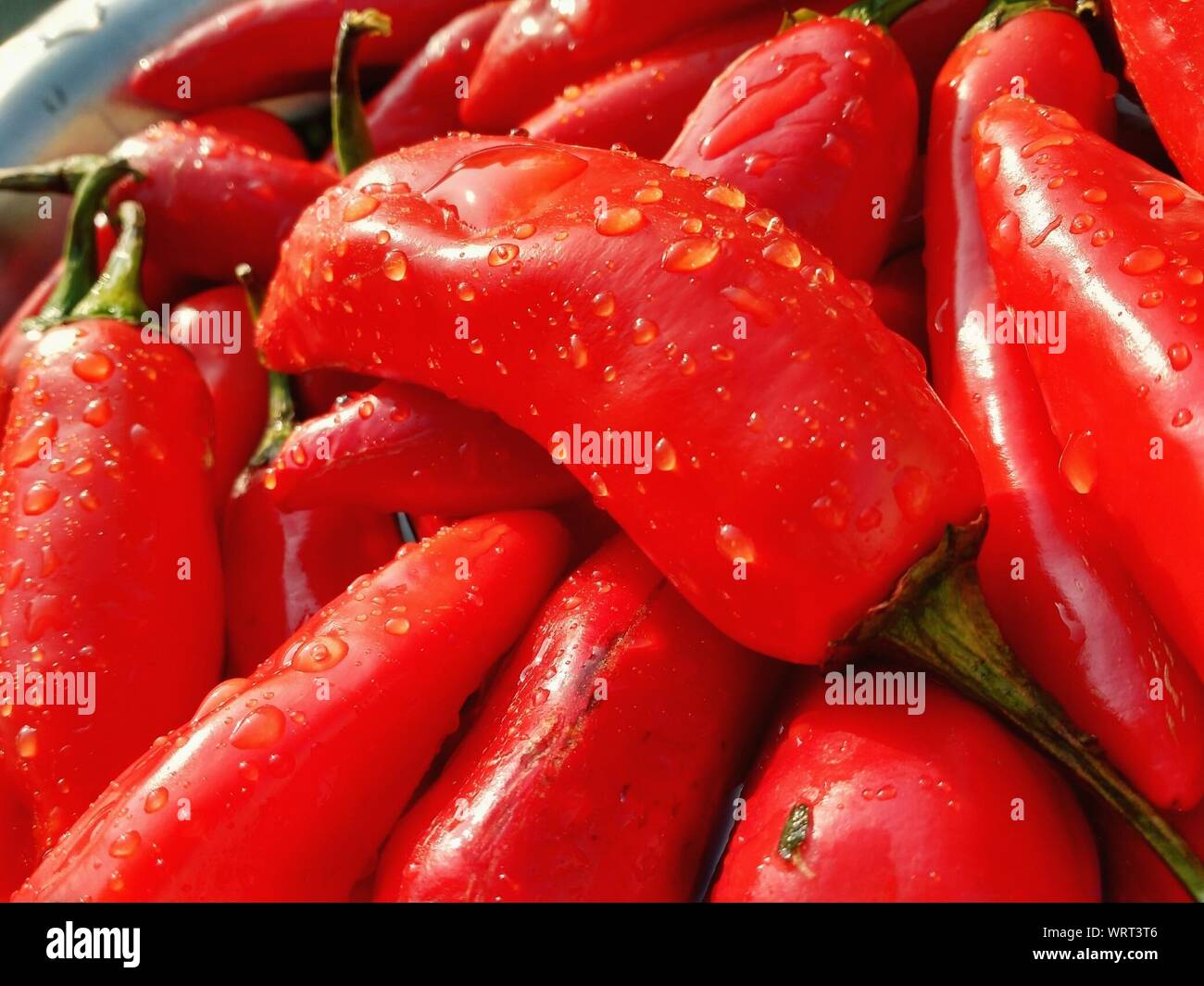 Are Shepherd Peppers Spicy