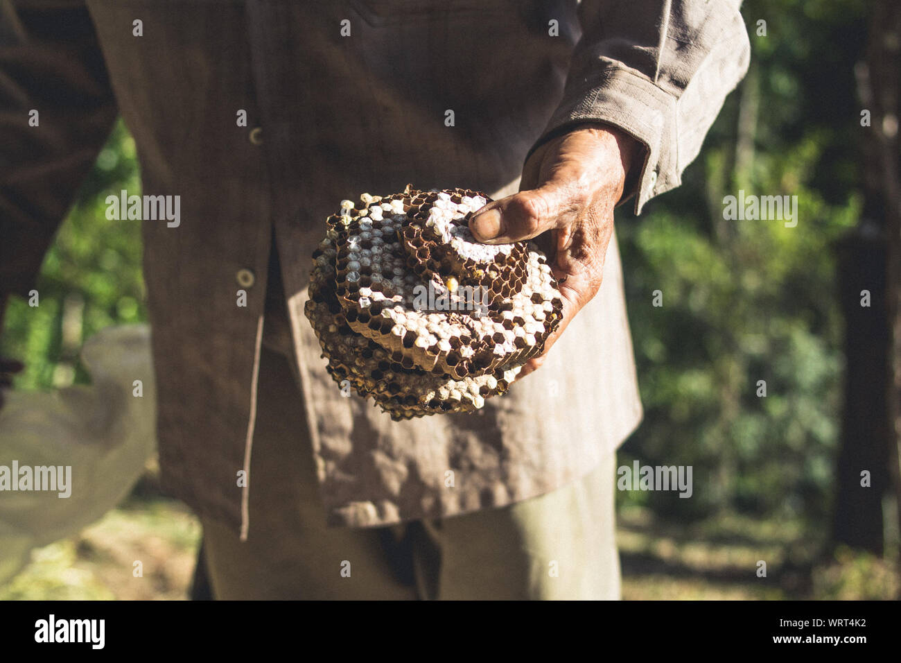 Human beehive hi-res stock photography and images - Alamy