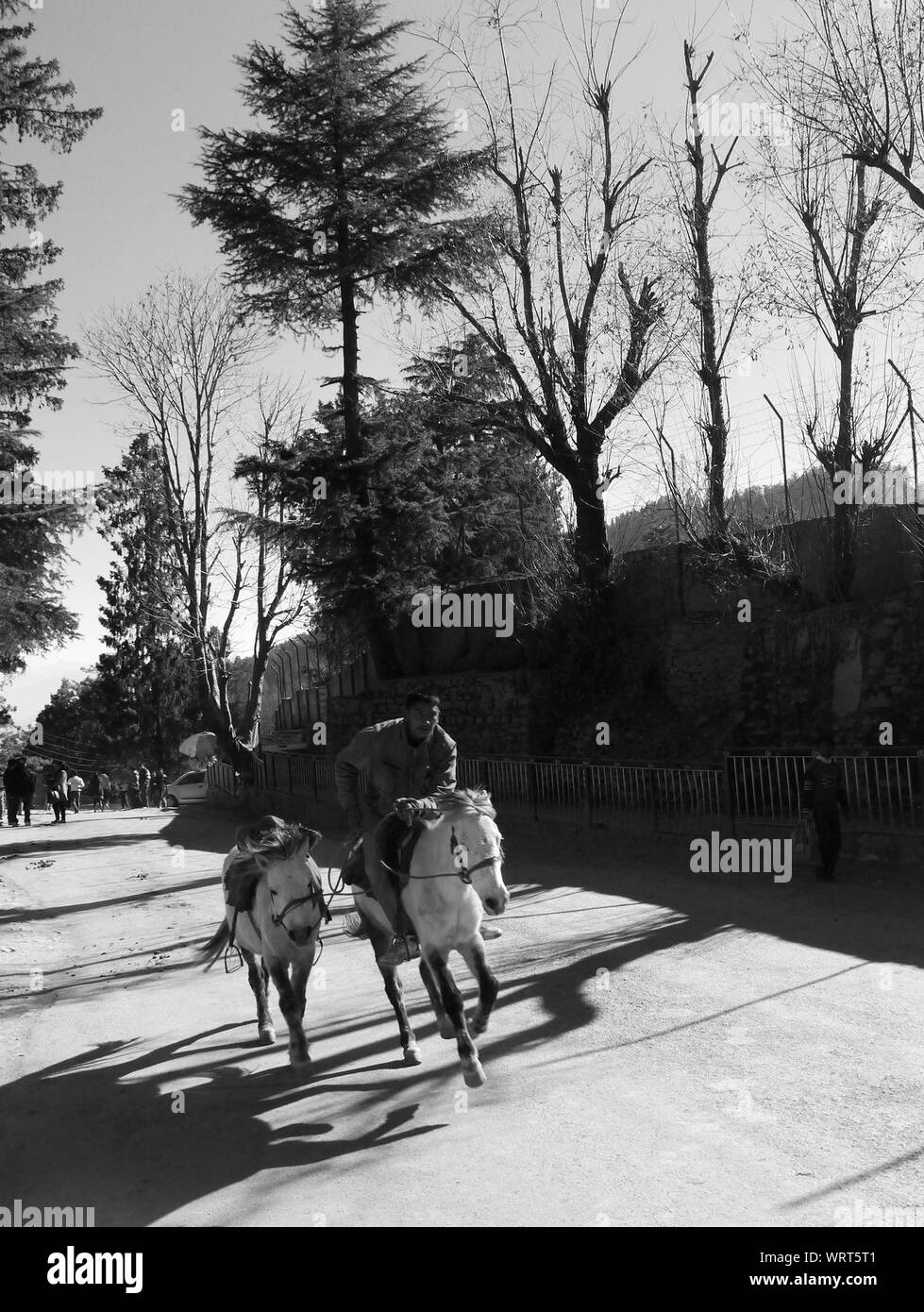 Horse riding road hi-res stock photography and images - Alamy