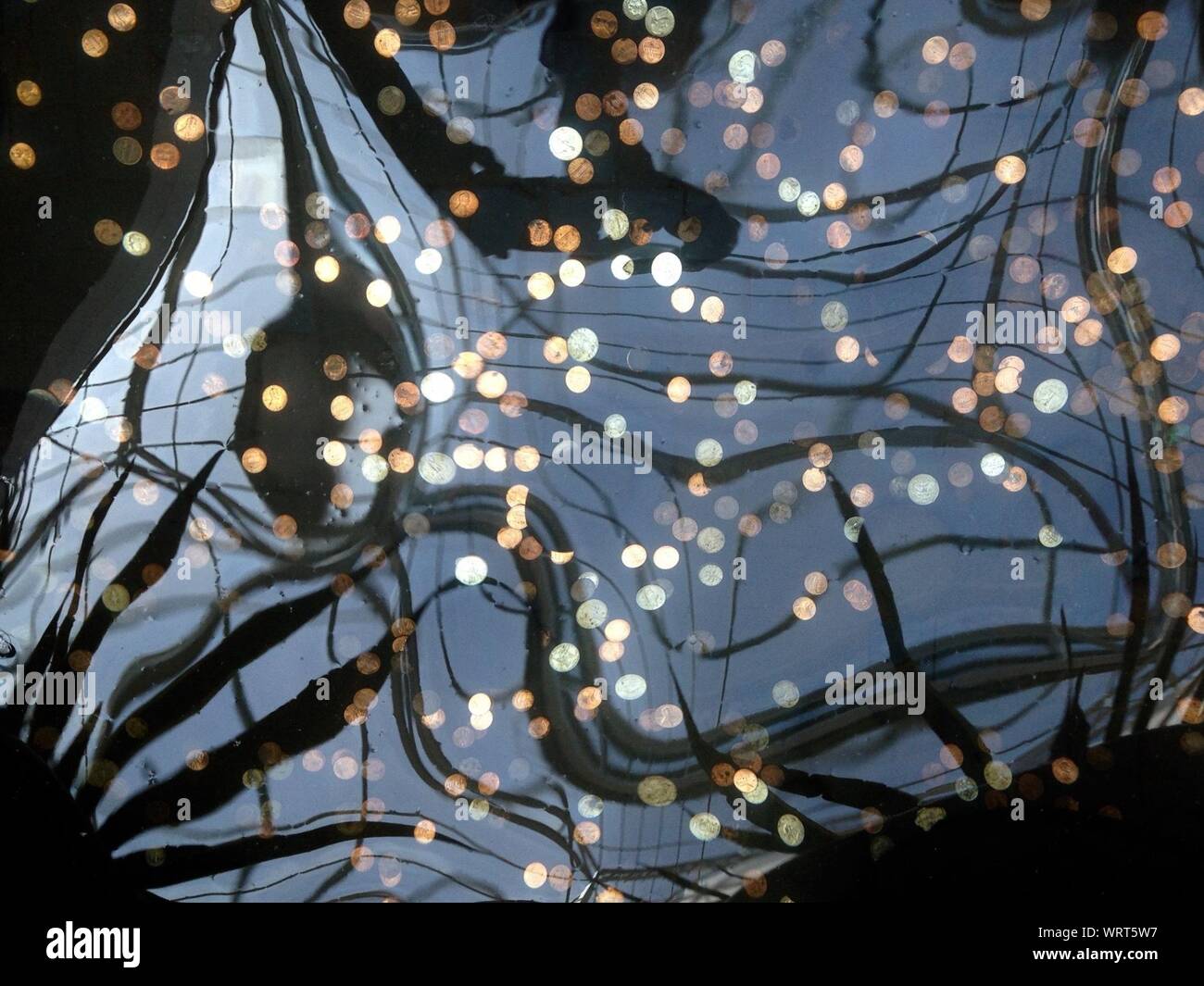 Reflecting lights on water hi-res stock photography and images - Alamy