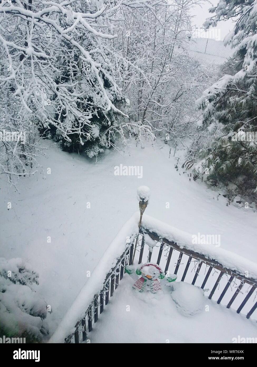 Balcony view trees hi-res stock photography and images - Alamy