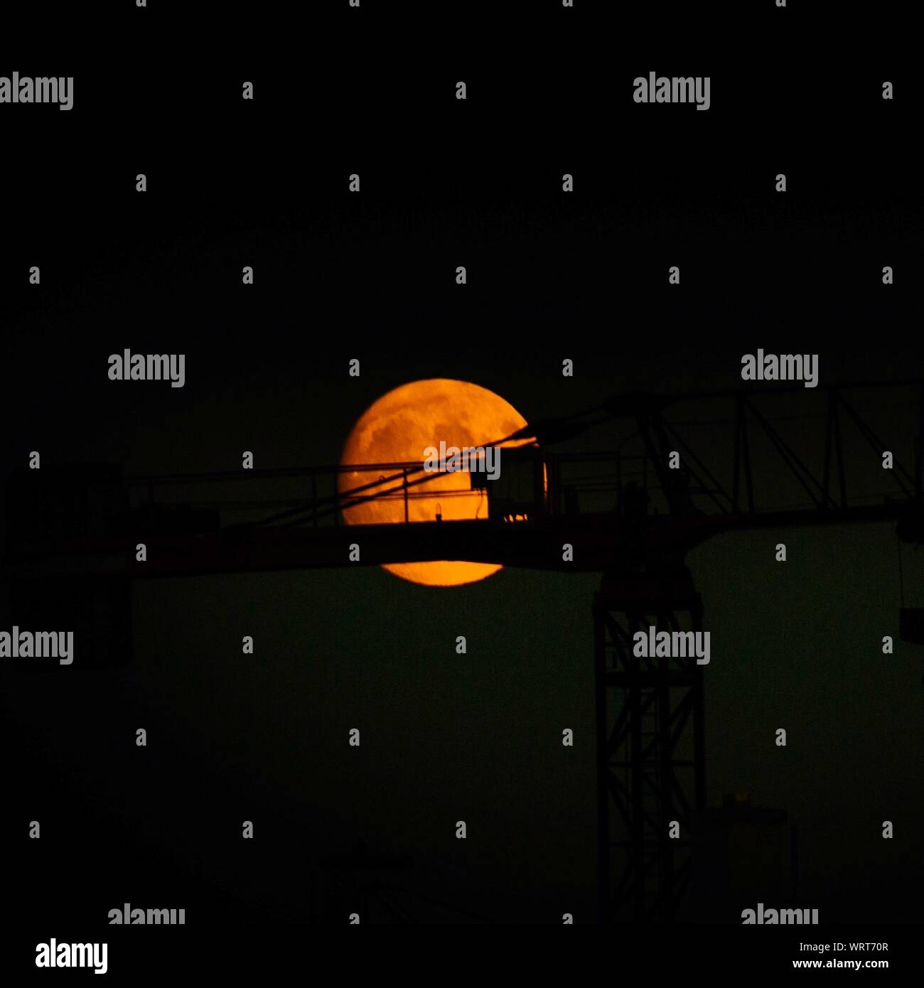 Crane moon hi-res stock photography and images - Alamy