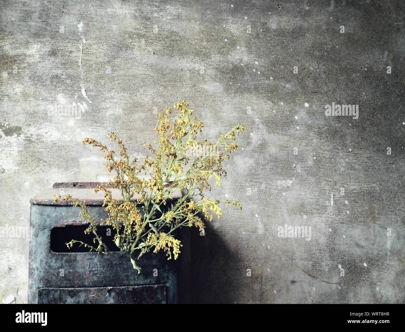 View Of Old Garbage Can Stock Photo - Alamy