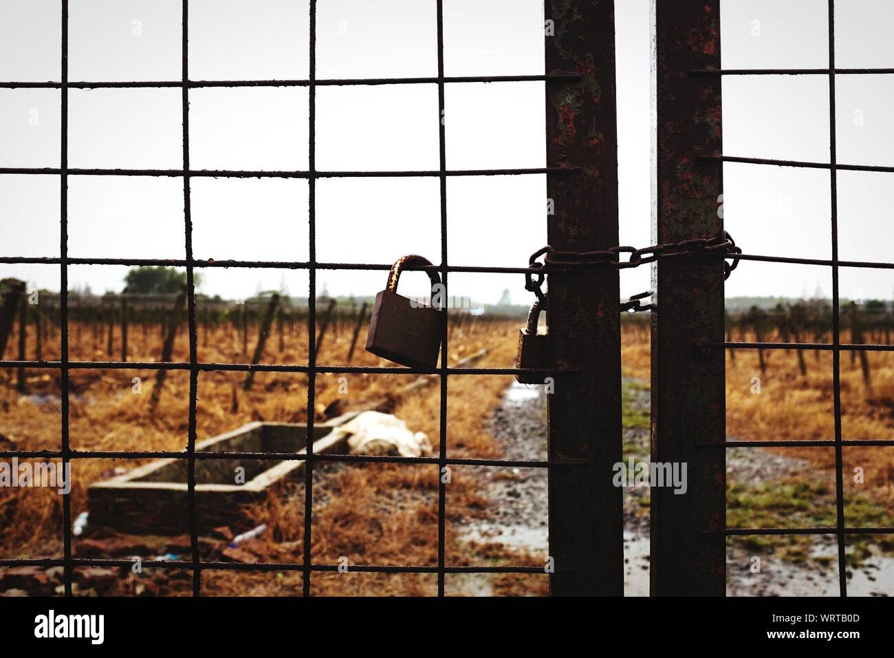 Padlocks gate hi-res stock photography and images - Alamy