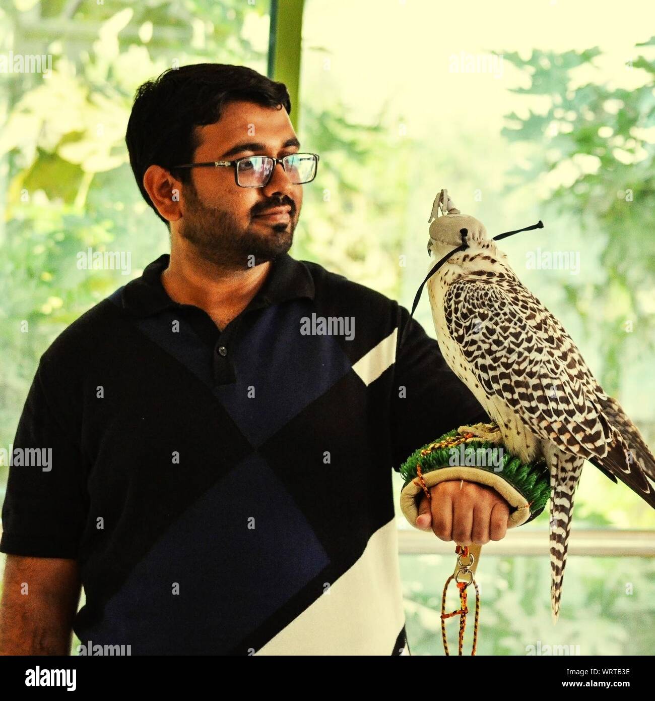 Person with hawk hi-res stock photography and images - Alamy