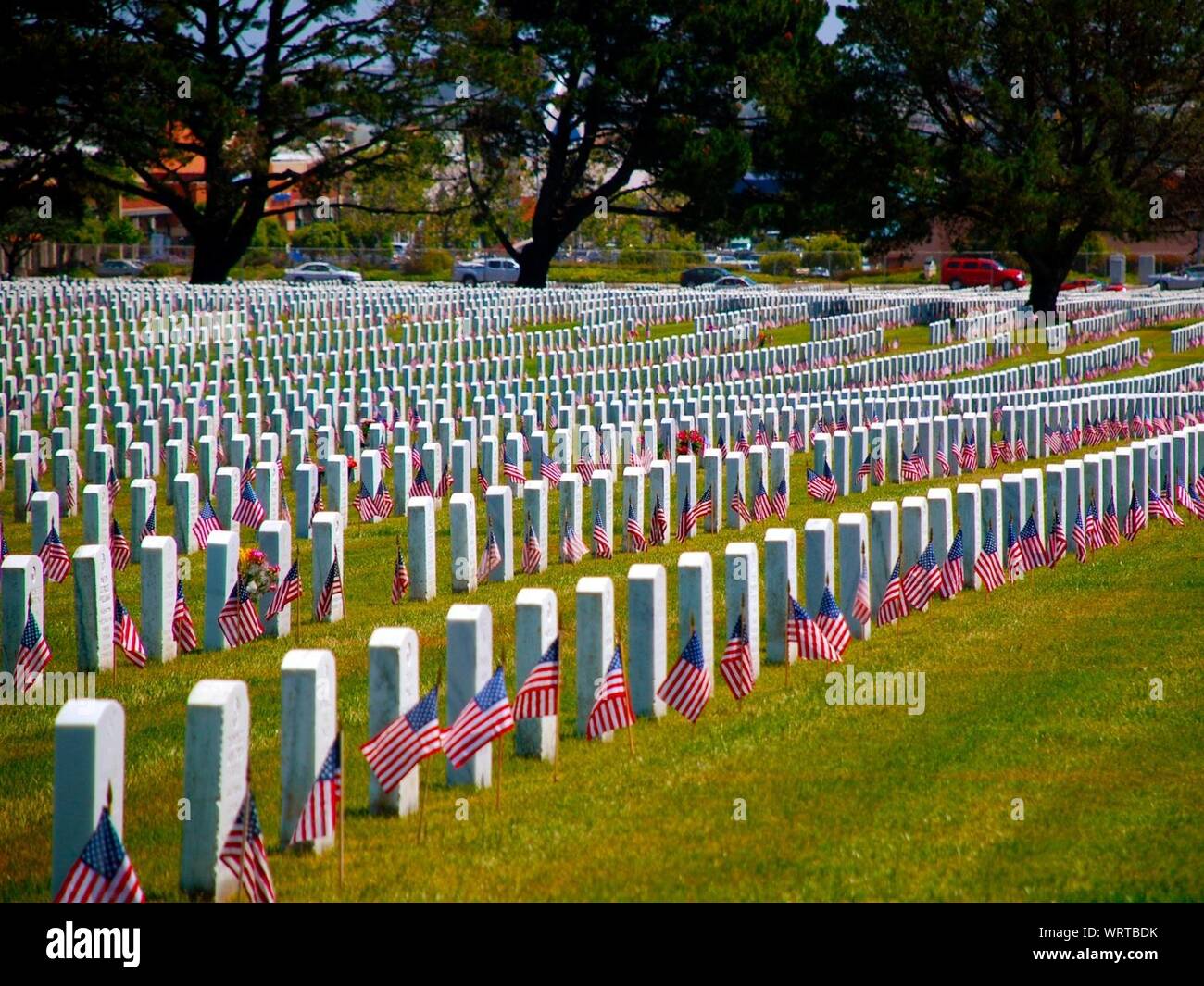 American Flags In Cemetery Stock Photo - Alamy