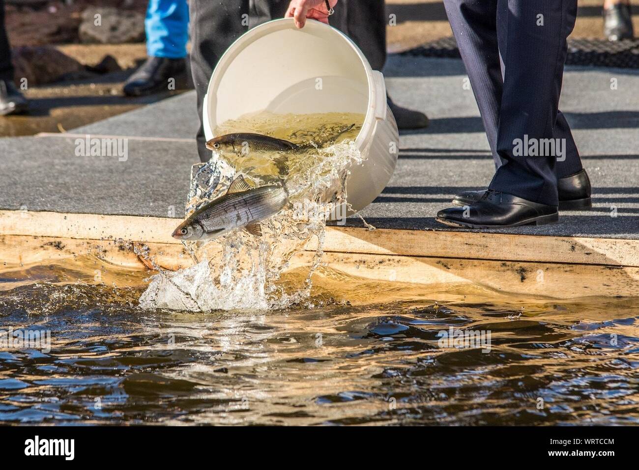 Poring water bucket hi-res stock photography and images - Alamy