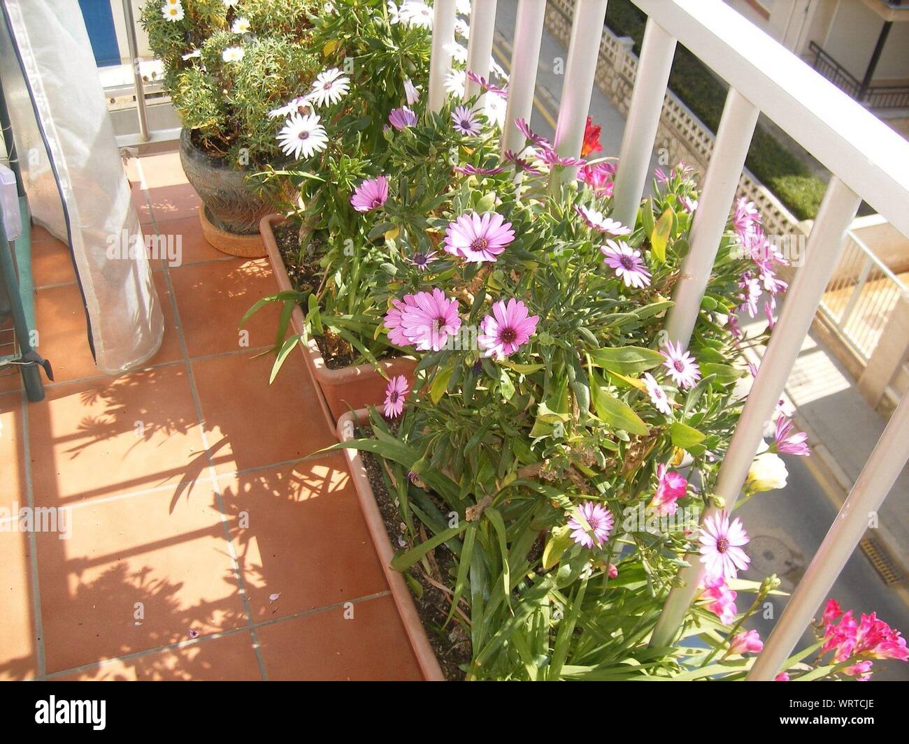 Flower pots balcony hi-res stock photography and images - Alamy
